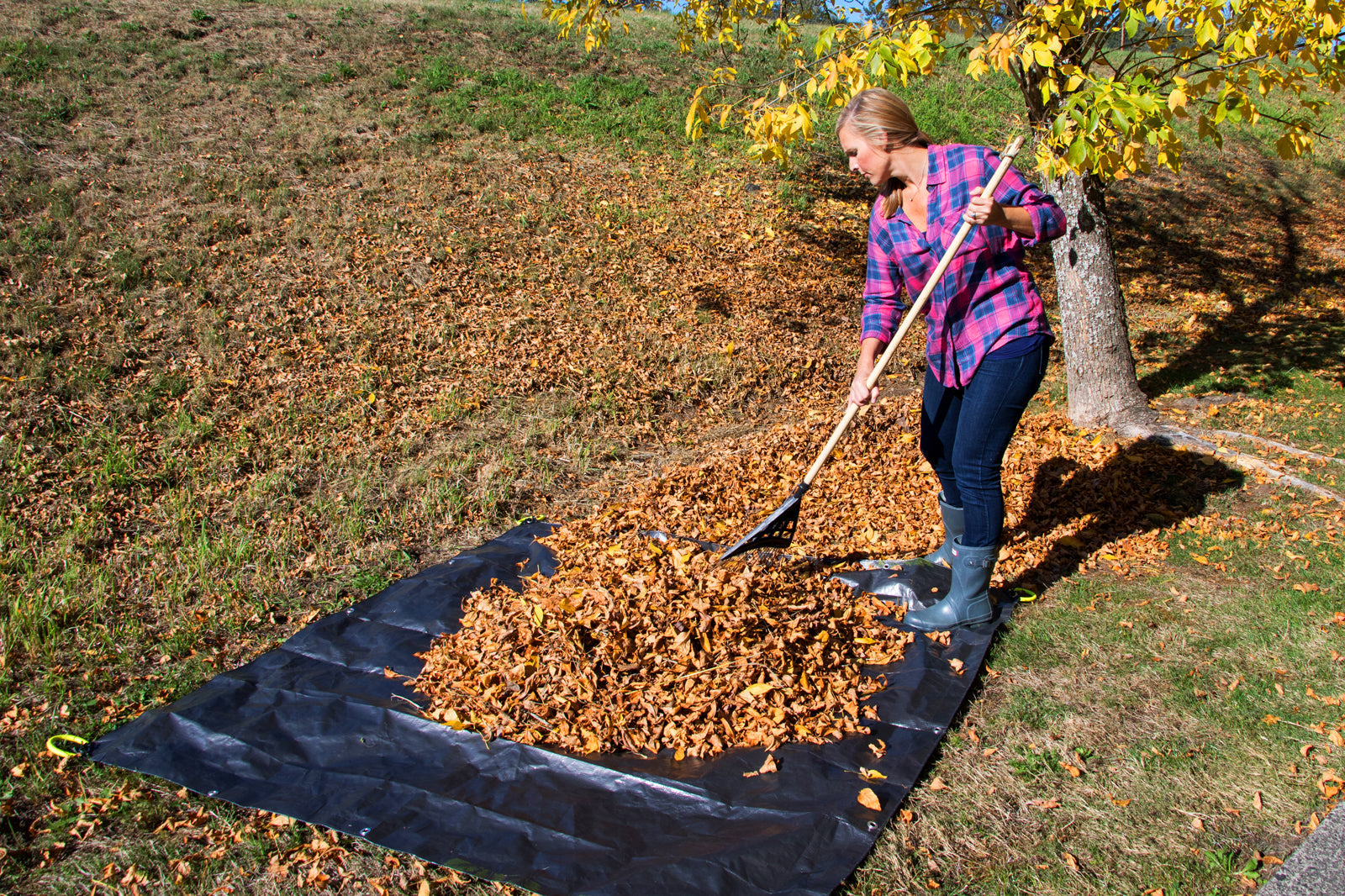 Fall Yard Cleanup Made Easy: Tips for Leaves, Debris, and Outdoor Main ...
